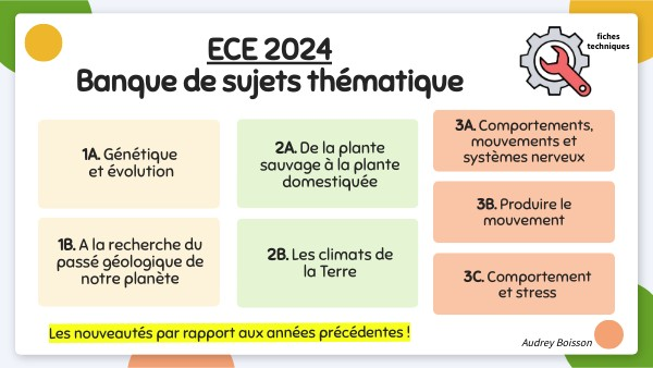 ECE 2024