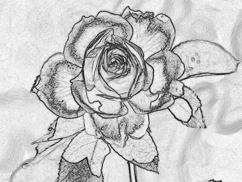 Practica 2 dibujo
